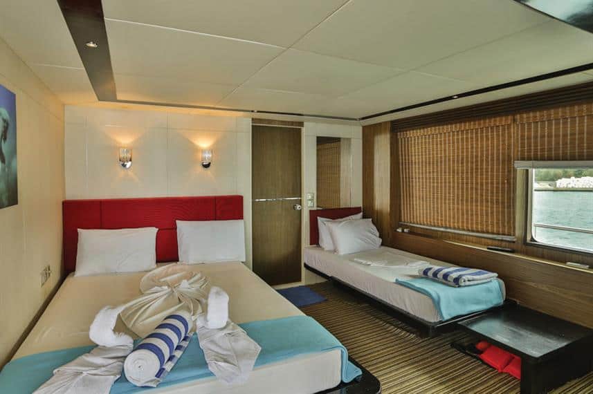 Avis sur le bateau de croisière MV Honors Legacy