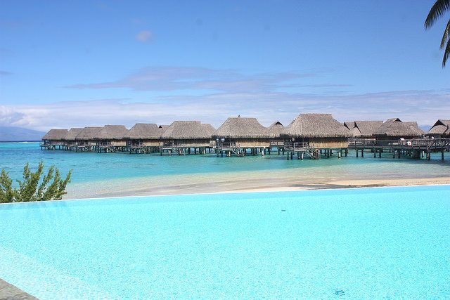 Plongée Polynésie Française – Guide complet en Français de la Plongée ...